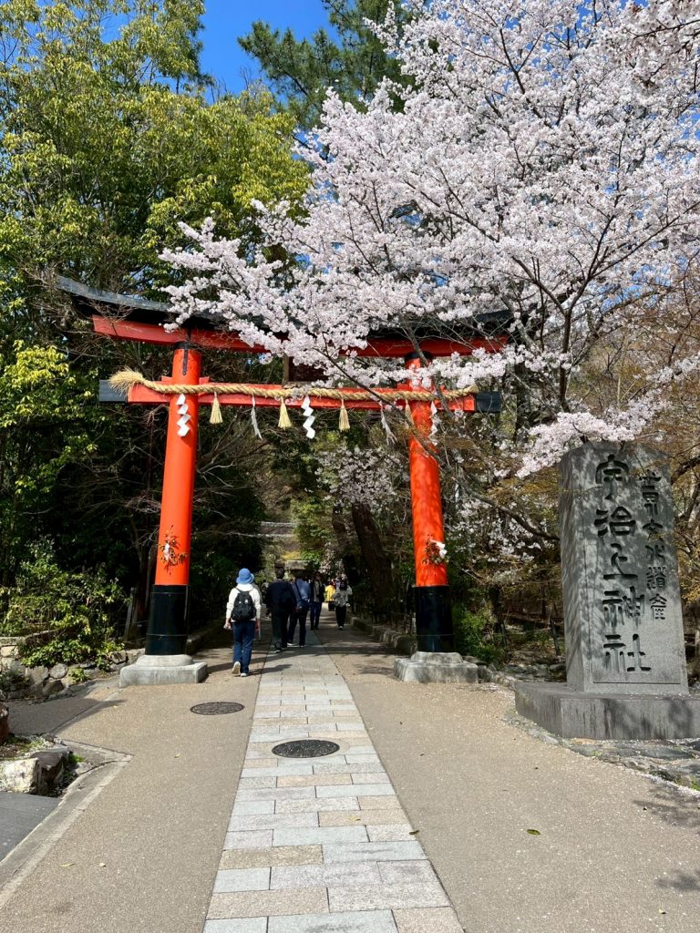 KACマガジン｜株式会社ケー・エー・シー